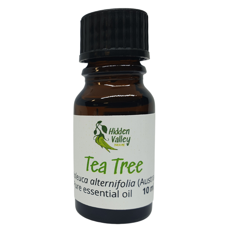 Tea Tree Pure Essential Oil – Hidden Valley Broome