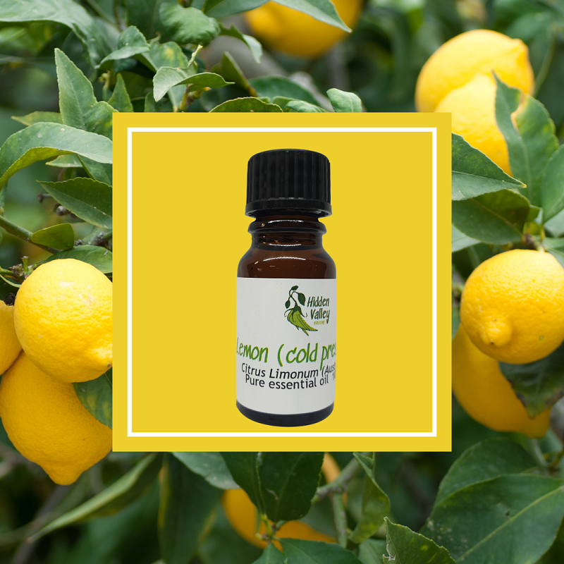 Lemon – Hidden Valley Broome