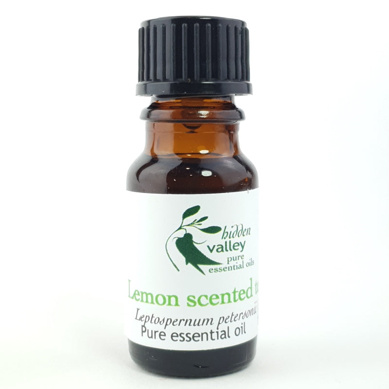 Lemon Scented Tea Tree – Hidden Valley Broome